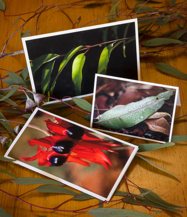 Barefoot Gallery by Ken Maley - Barefoot Gallery